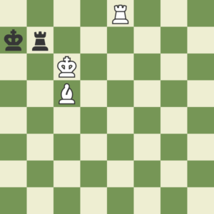 16 move rule to draw in Chess: A Complete Guide - ChessEasy Academy